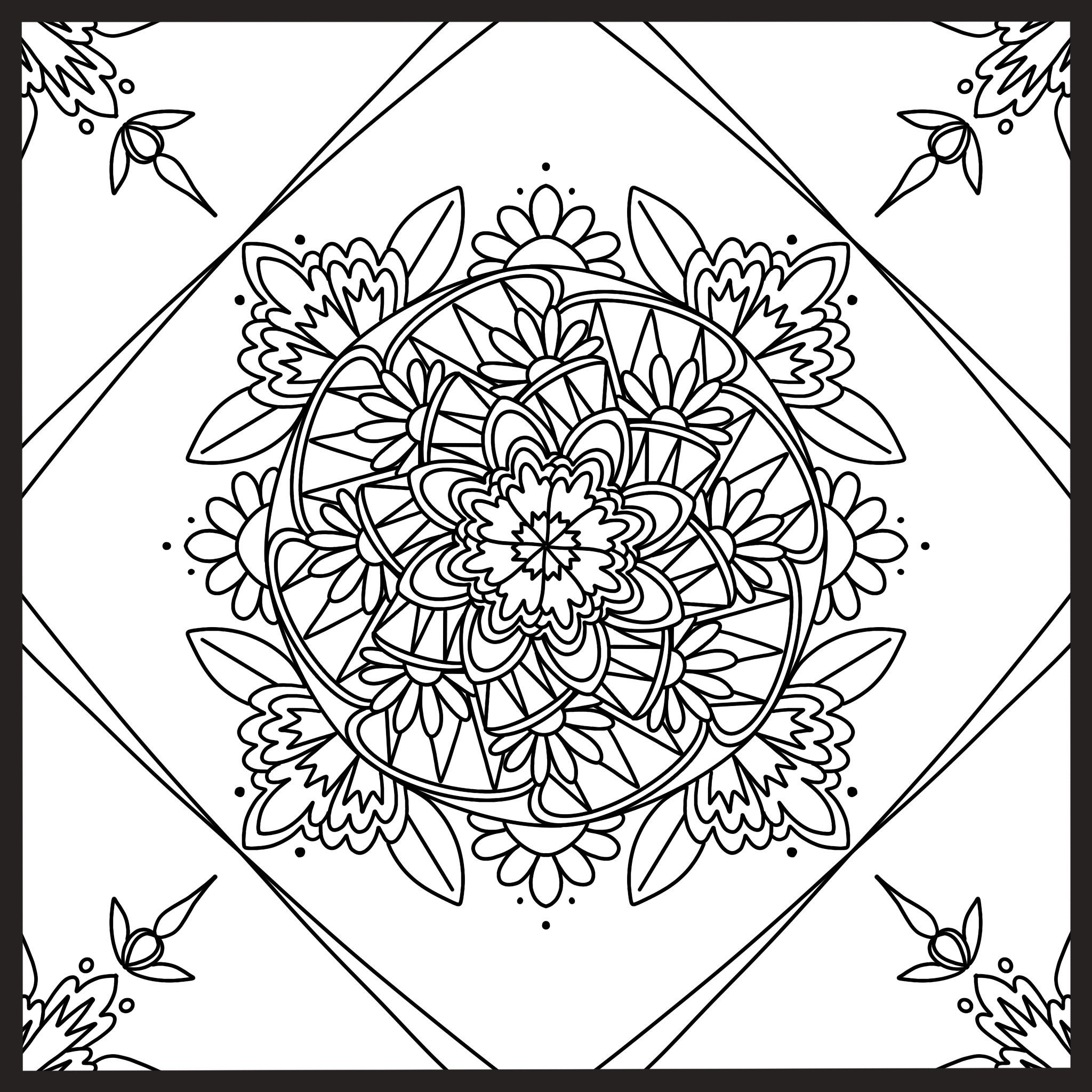 28 Days of Mandalas Physical Adult Coloring Book 28 Designs for ...