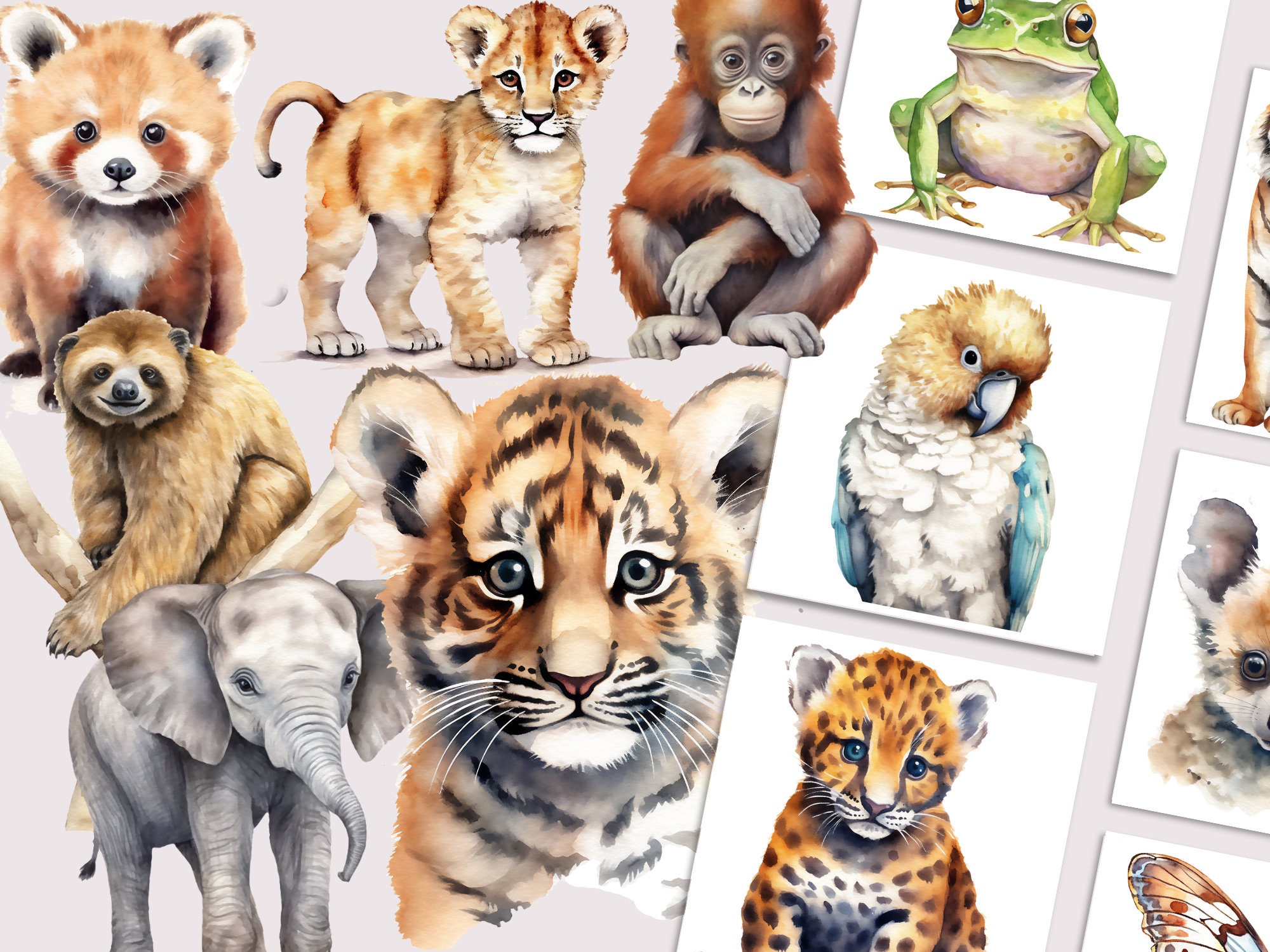 Watercolor Jungle Animals Clipart Baby Jungle Animals, Digital Crafting ...