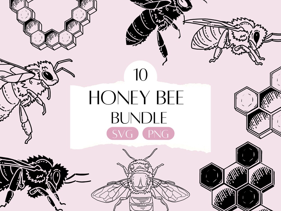 Honey Bee Bundle SVG, Honeybee Clipart, Honey Bee With Honeycomb Svg ...