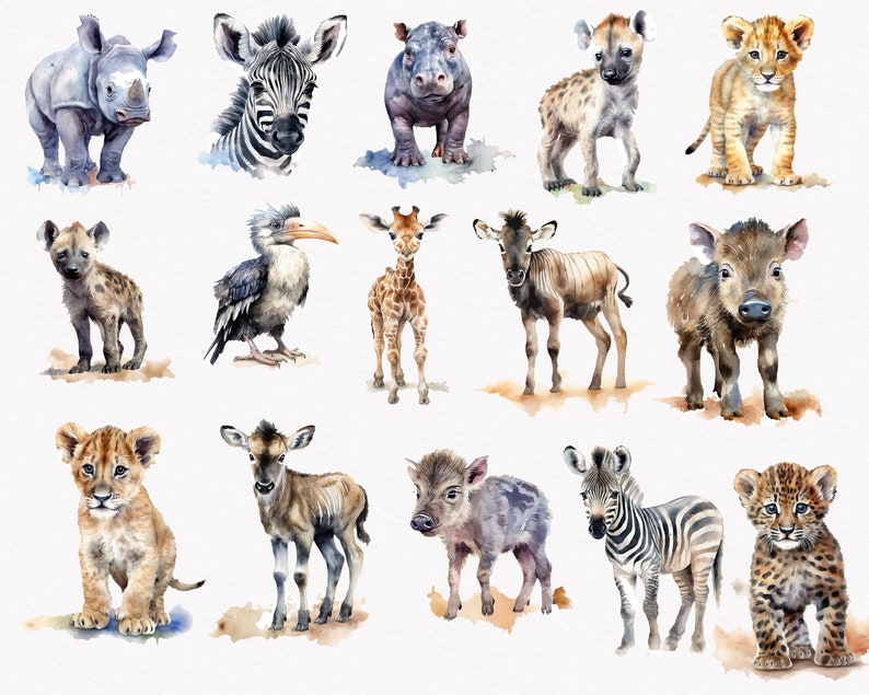 Watercolor Safari Clipart Baby Safari Animals Digital - Etsy