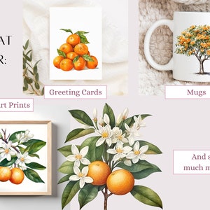 Watercolor Orange Blossom Clipart Bundle, Digital Crafting, Nursery ...