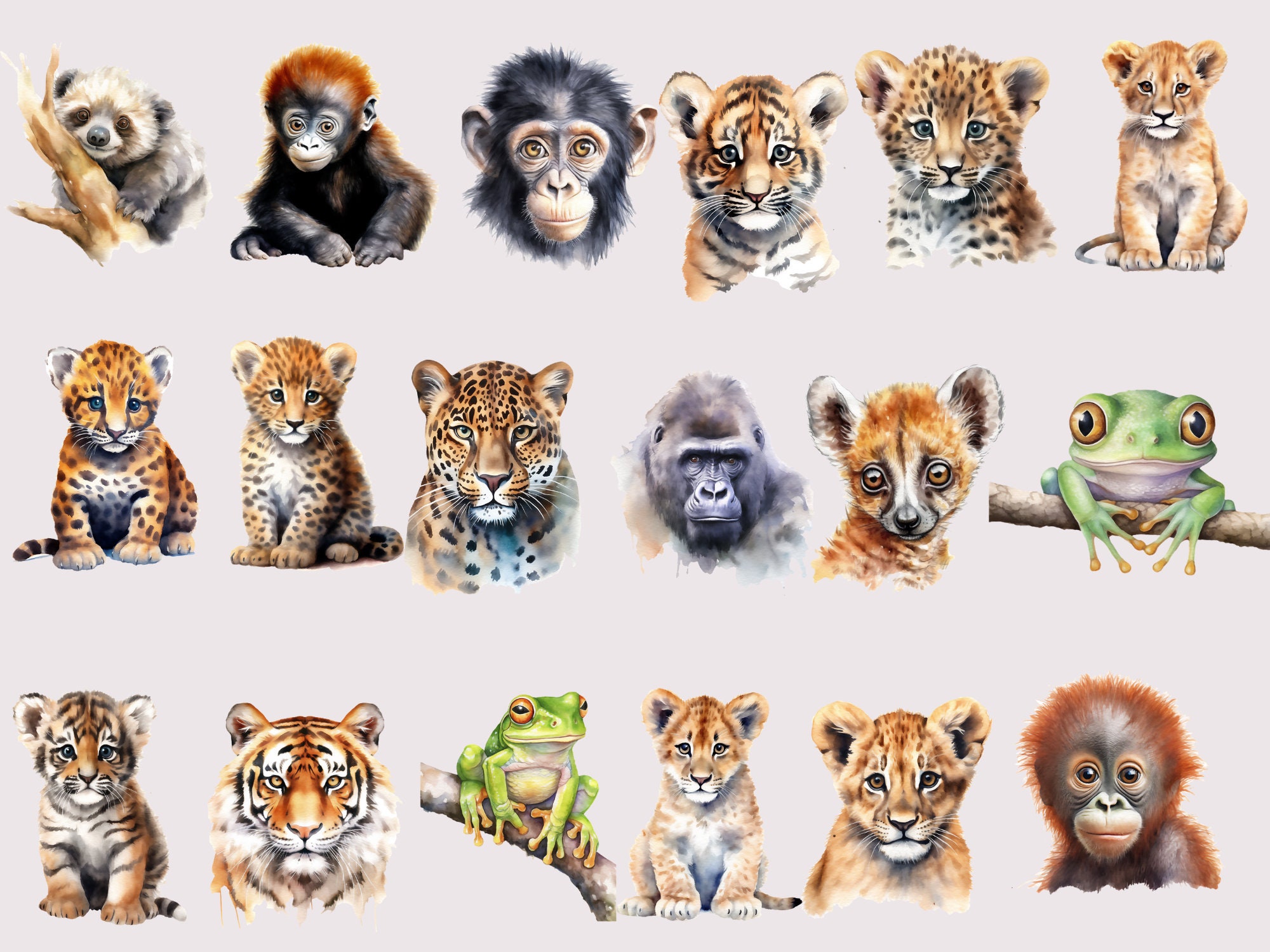 Watercolor Jungle Animals Clipart Baby Jungle Animals, Digital Crafting ...