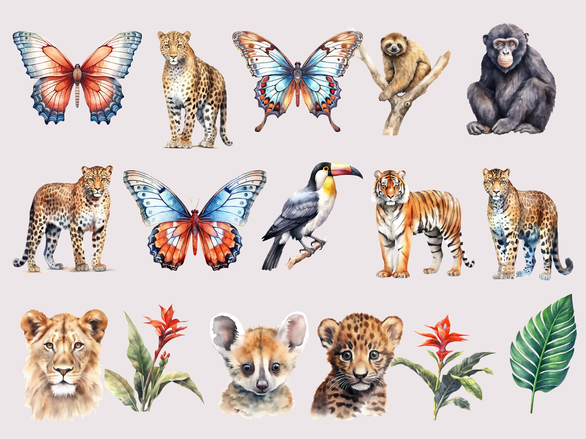 Watercolor Jungle Animals Clipart Baby Jungle Animals, Digital Crafting ...