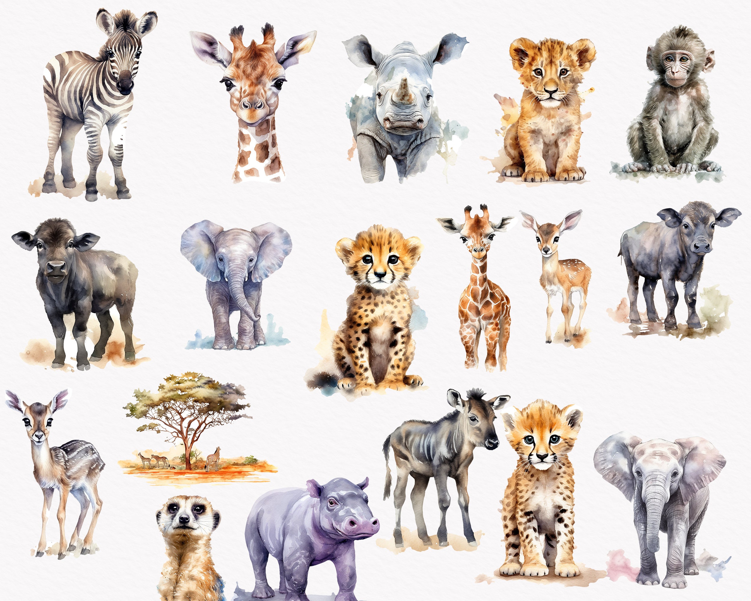 Watercolor Safari Clipart Baby Safari Animals Digital - Etsy