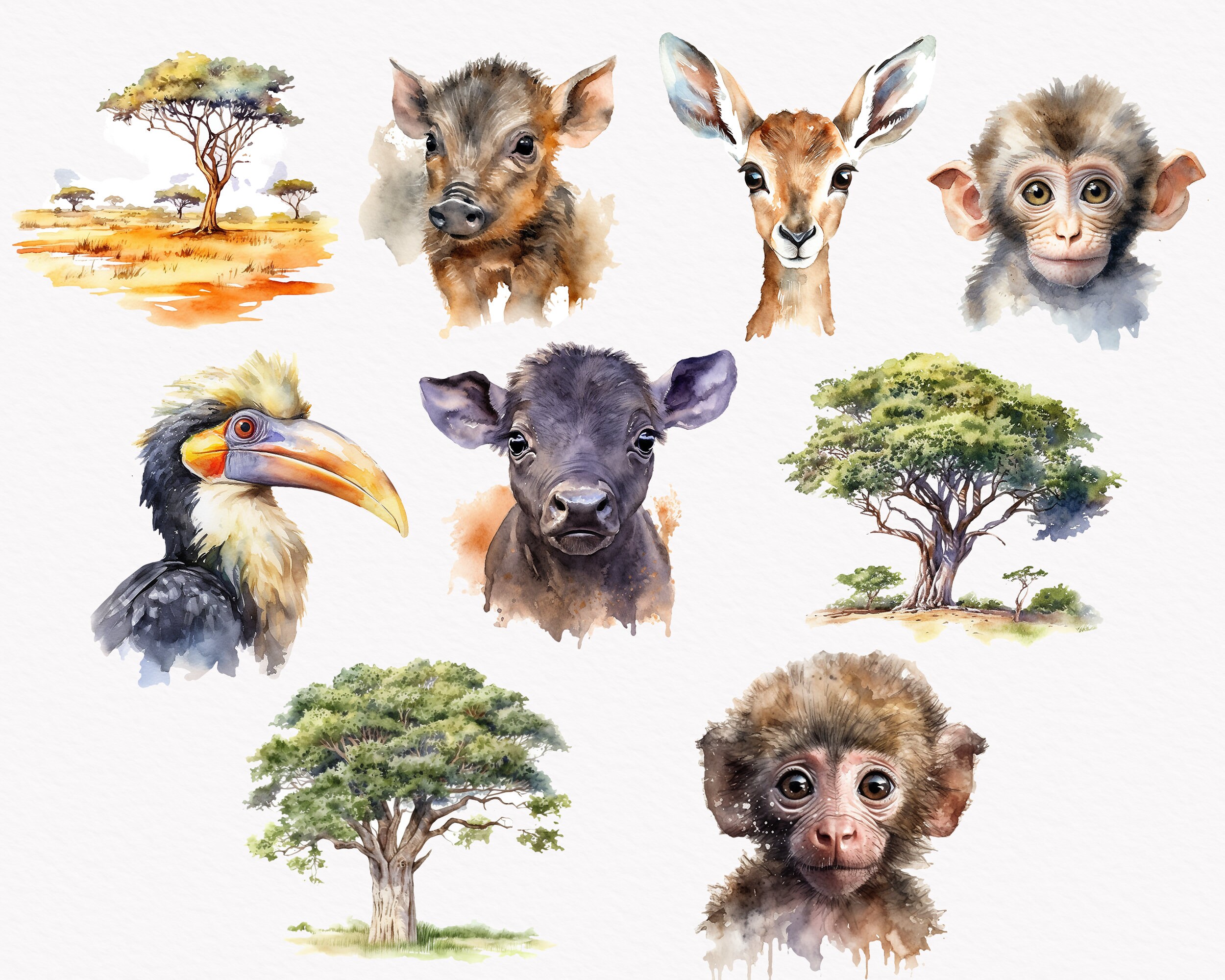 Watercolor Safari Clipart Baby Safari Animals Digital - Etsy
