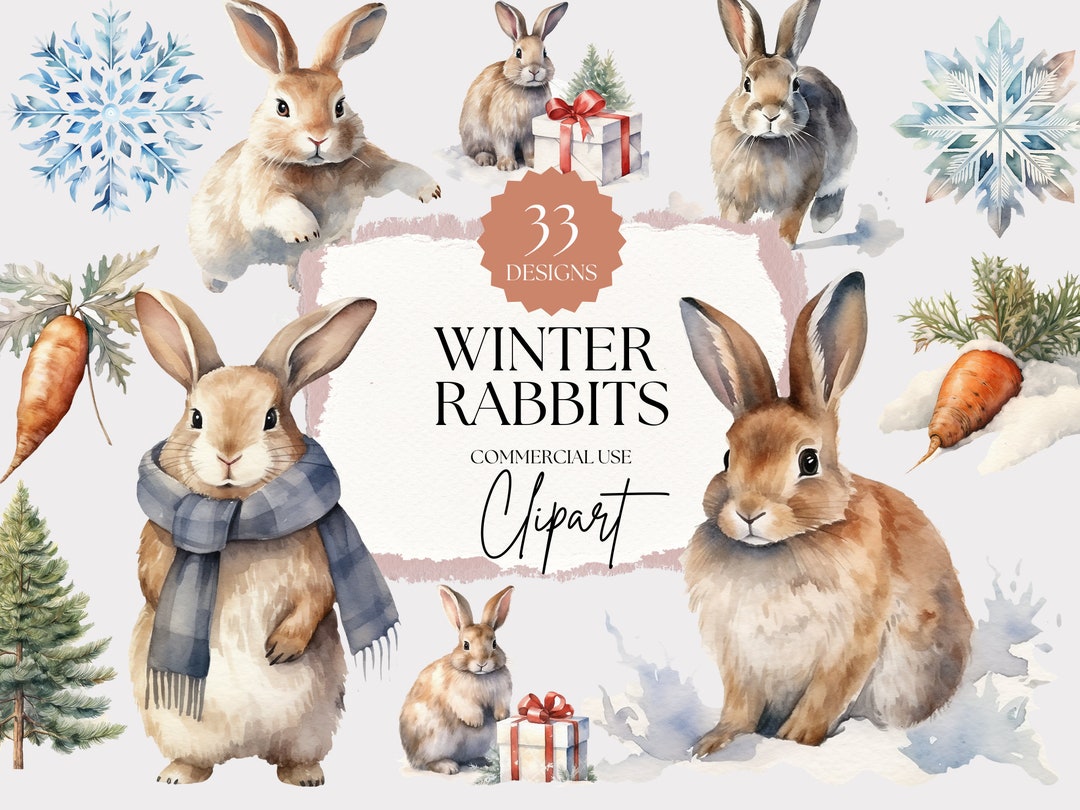 Watercolor Rabbits Winter Clipart | Watercolor Clipart, Christmas ...