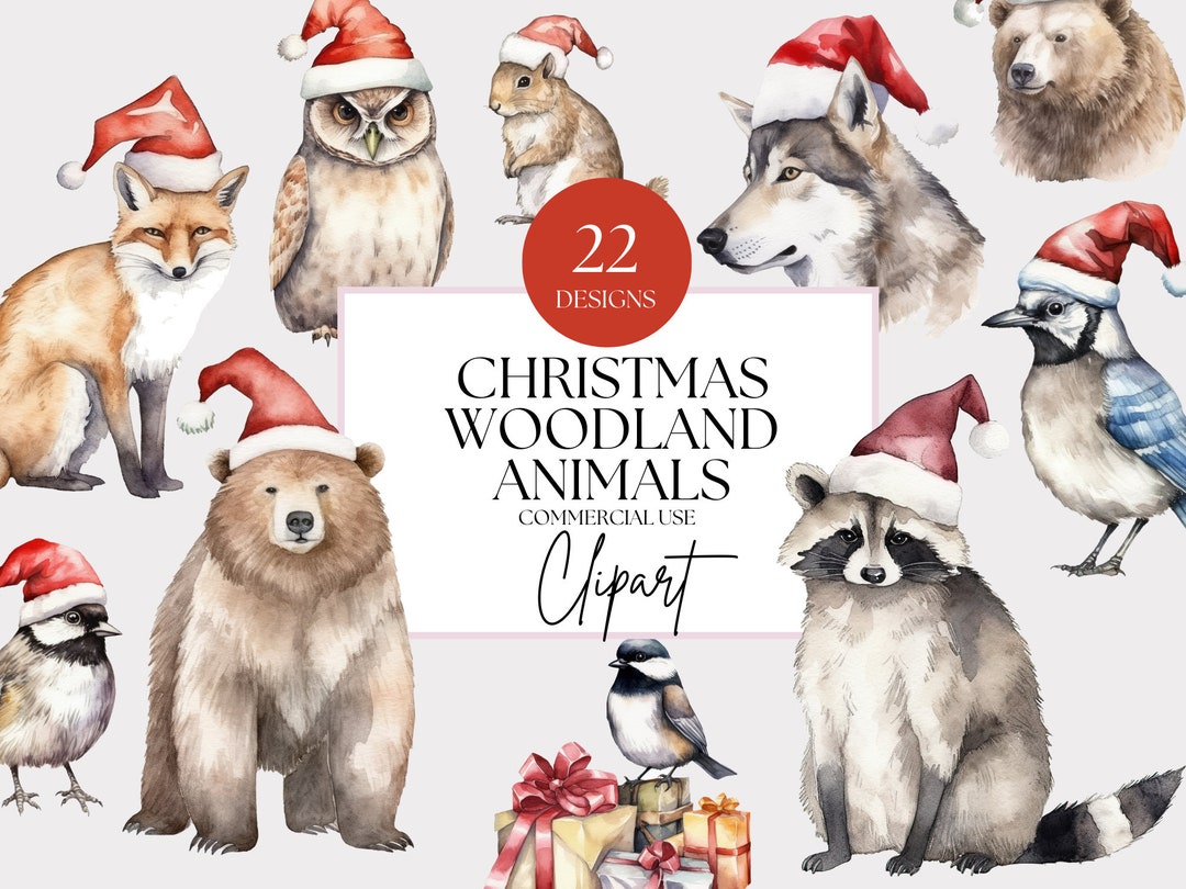 Christmas Woodland Animals Clipart | Baby Woodland Animals, Digital ...