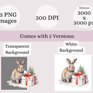 Watercolor Rabbits Winter Clipart | Watercolor Clipart, Christmas ...
