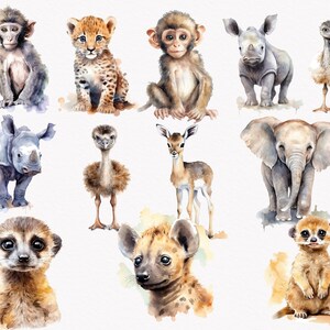 Watercolor Safari Clipart | Baby Safari Animals, Digital Crafting ...