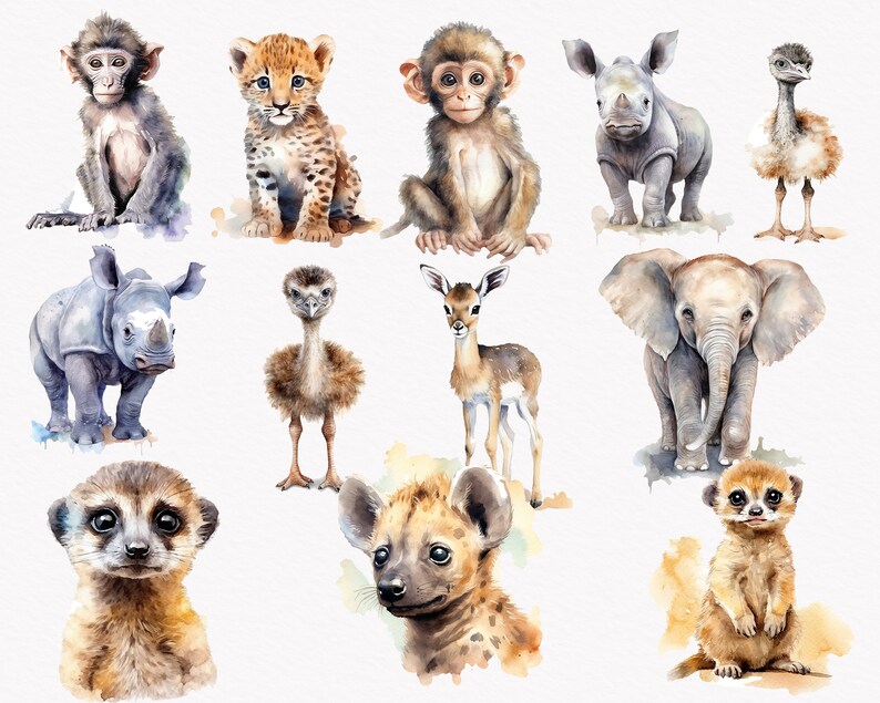 Watercolor Safari Clipart Baby Safari Animals Digital - Etsy