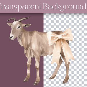 Animals With Bows Neutral Watercolor Clipart Watercolor Woodland ...