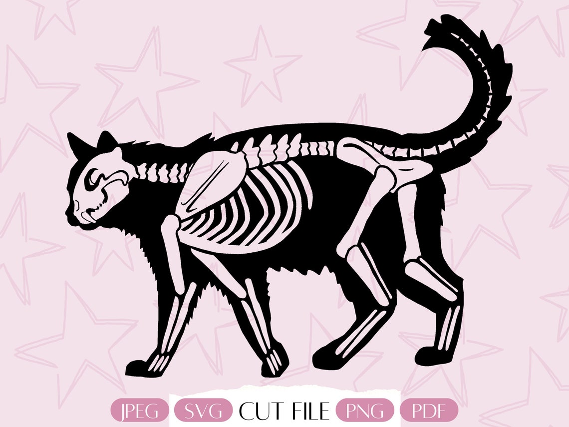 Halloween SVG Celestial Witchy Cat Skeleton SVG, Mystical Witchcraft ...