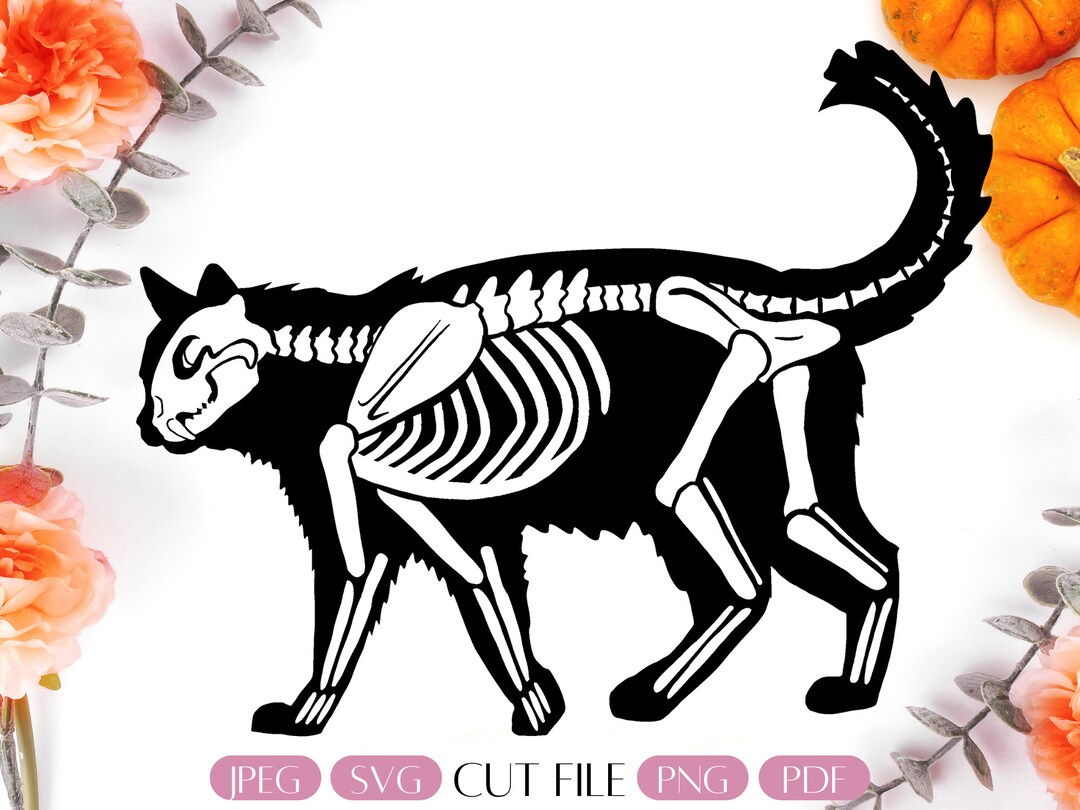 Halloween SVG Celestial Witchy Cat Skeleton SVG, Mystical Witchcraft ...
