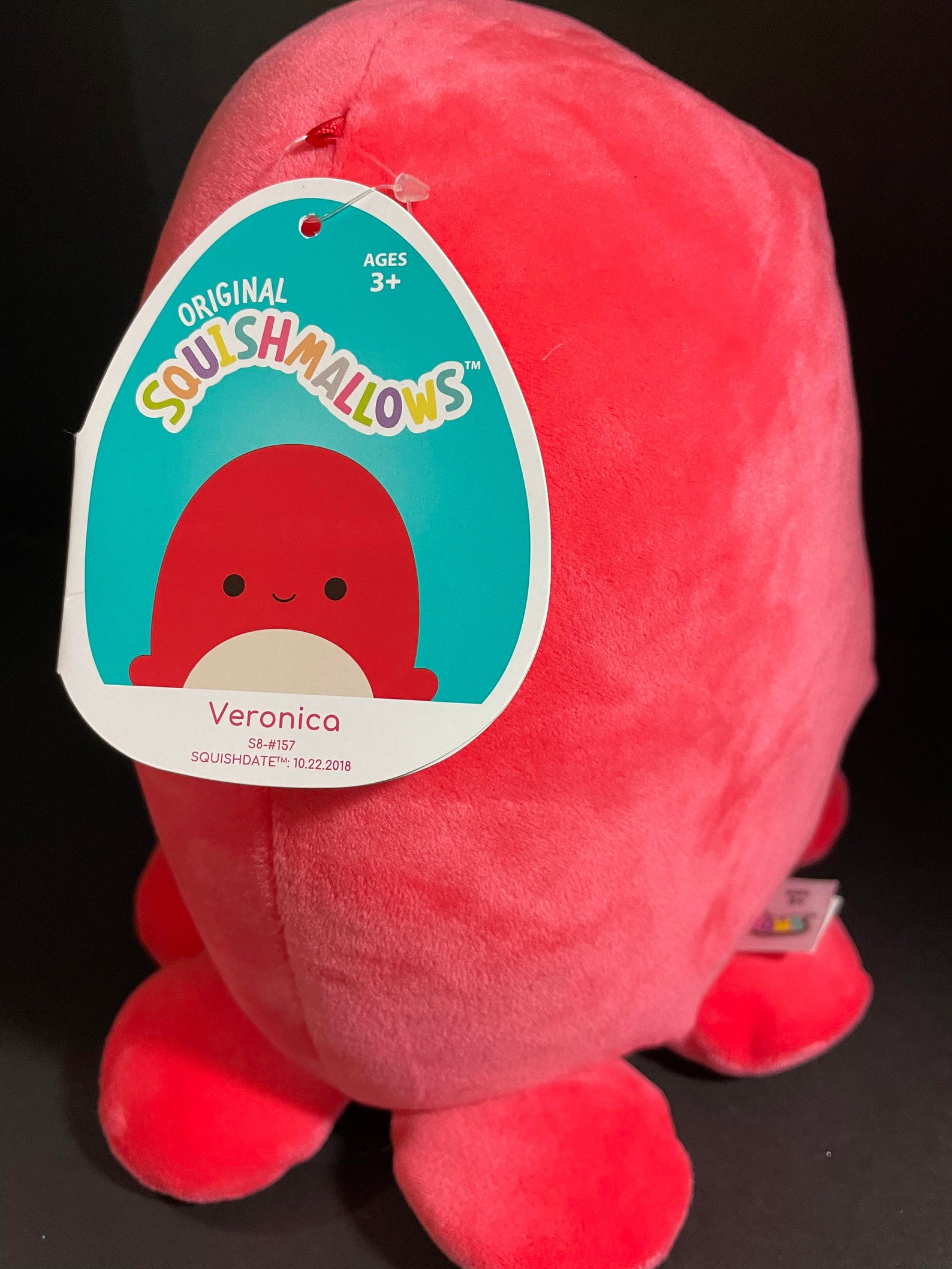 Squishmallow 8 Veronica the Octopus W/custom Hand-made - Etsy
