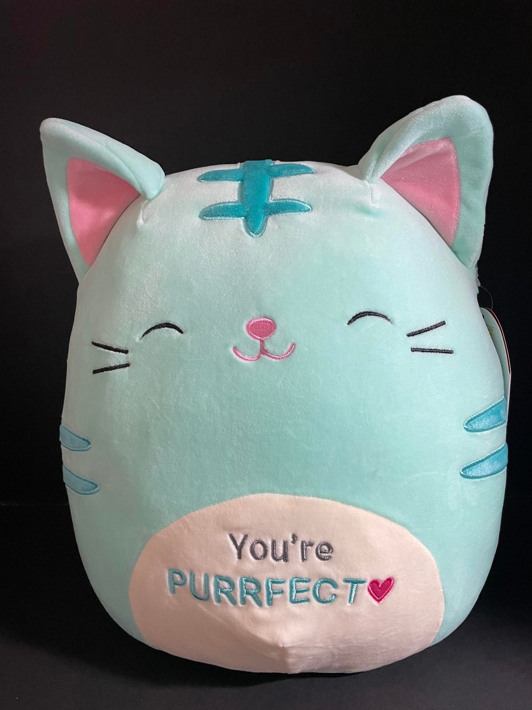 Squishmallow 12 Jules Aqua Tabby Cat you're Perrfect W/custom Hand-made ...