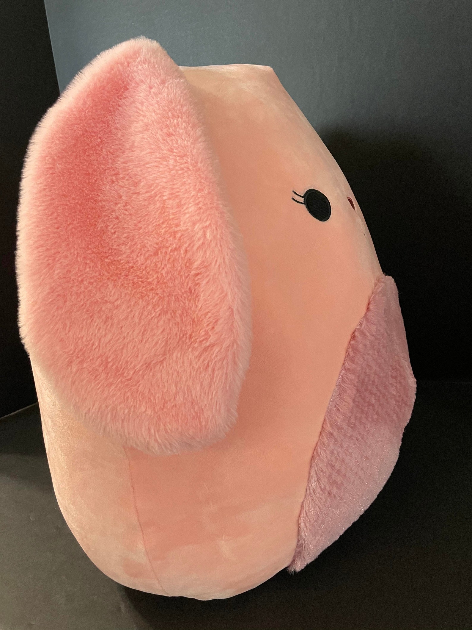 Squishmallow 16 Bop the Bunny Furry Belly W/custom - Etsy