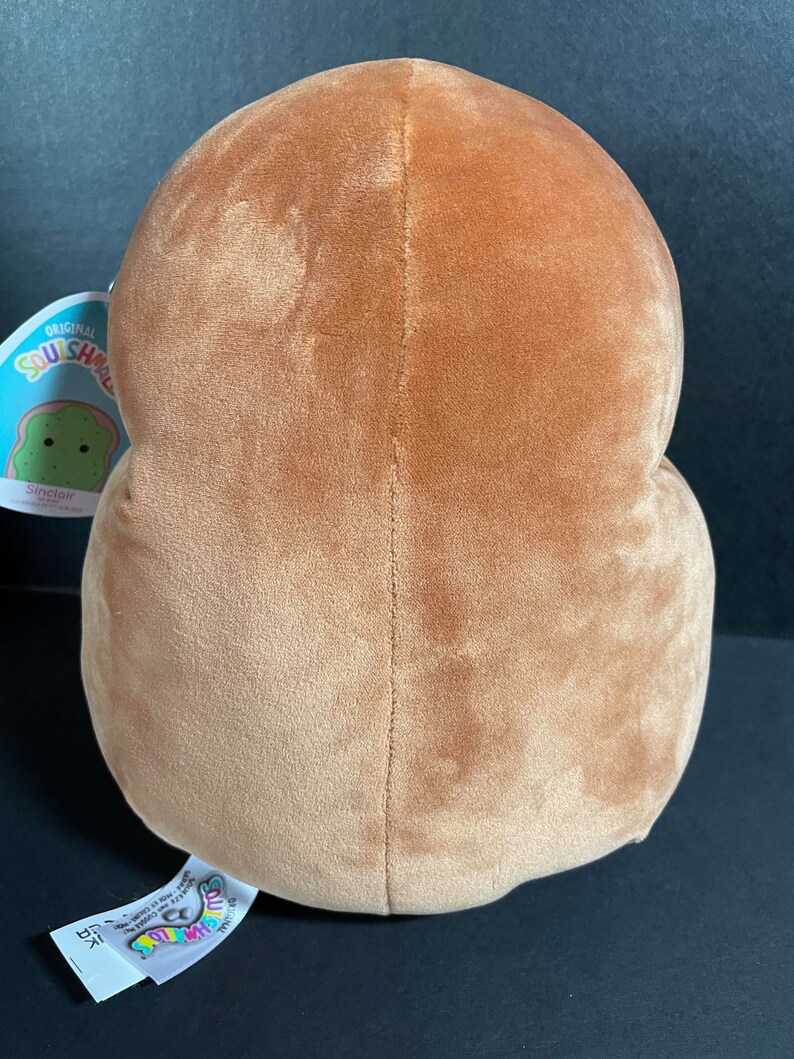 Squishmallow 8 Sinclair Avocado Toast W/custom Hand-made - Etsy