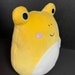Squishmallow 8 Leigh Yellow Toad Frog W/custom Hand-made Beaded I Love ...