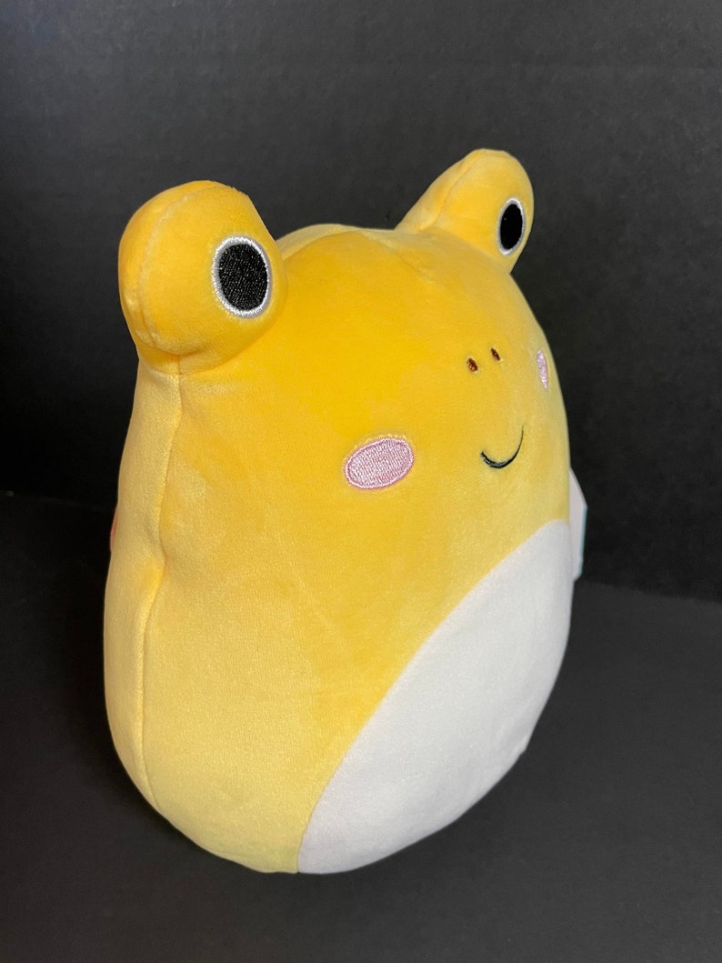 Squishmallow 8 Leigh Yellow Toad Frog W/custom Hand-made - Etsy