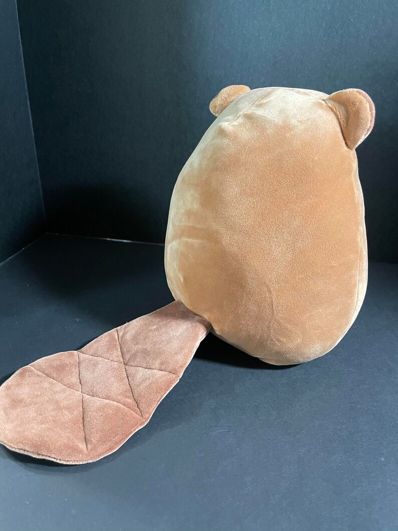 Squishmallow 8 Chip Beaver W/glasses W/custom Hand-made - Etsy