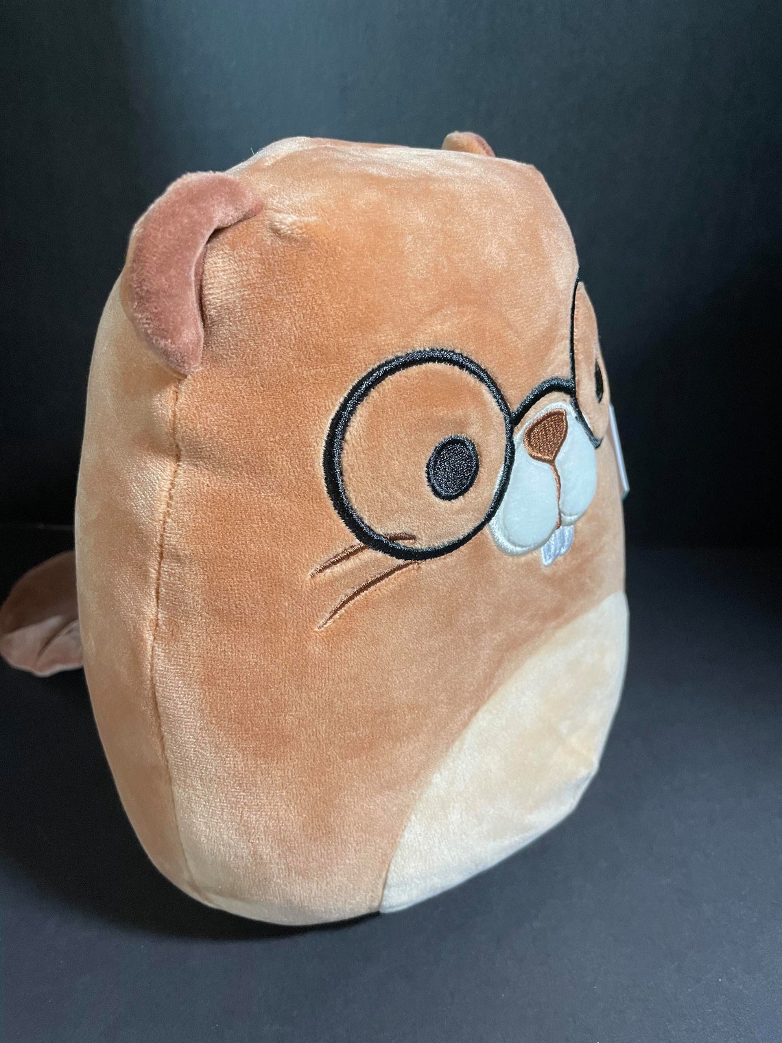 Squishmallow 8 Chip Beaver W/glasses W/custom Hand-made - Etsy