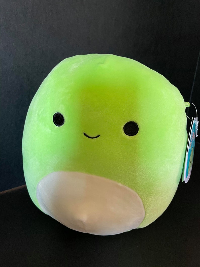 Squishmallow 8 Henry the Sea Turtle W/custom Hand-made - Etsy