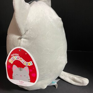 Squishmallow 8 Tally Tabby Cat you're Purrfect W/custom Hand-made ...