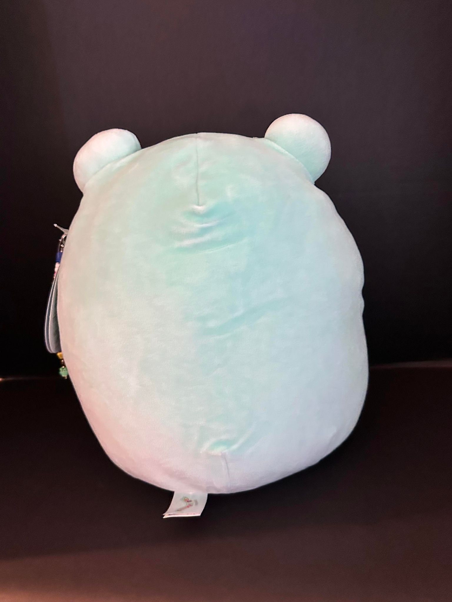Squishmallow 12 Dear Spotted Dart Frog W/custom Beaded - Etsy
