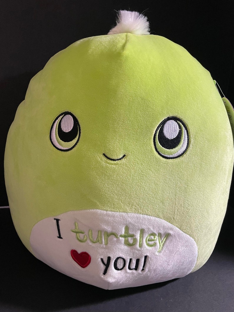 Squishmallow 12 Henry Love Turtle W/custom Hand-made - Etsy