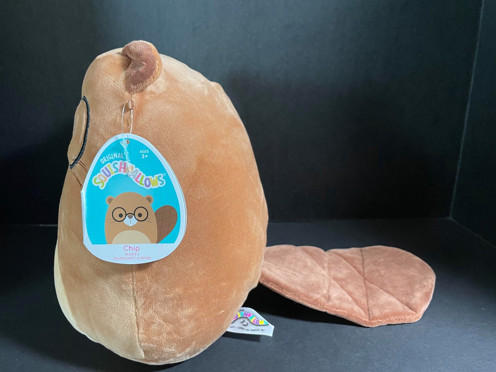 Squishmallow 8 Chip Beaver W/glasses W/custom Hand-made - Etsy