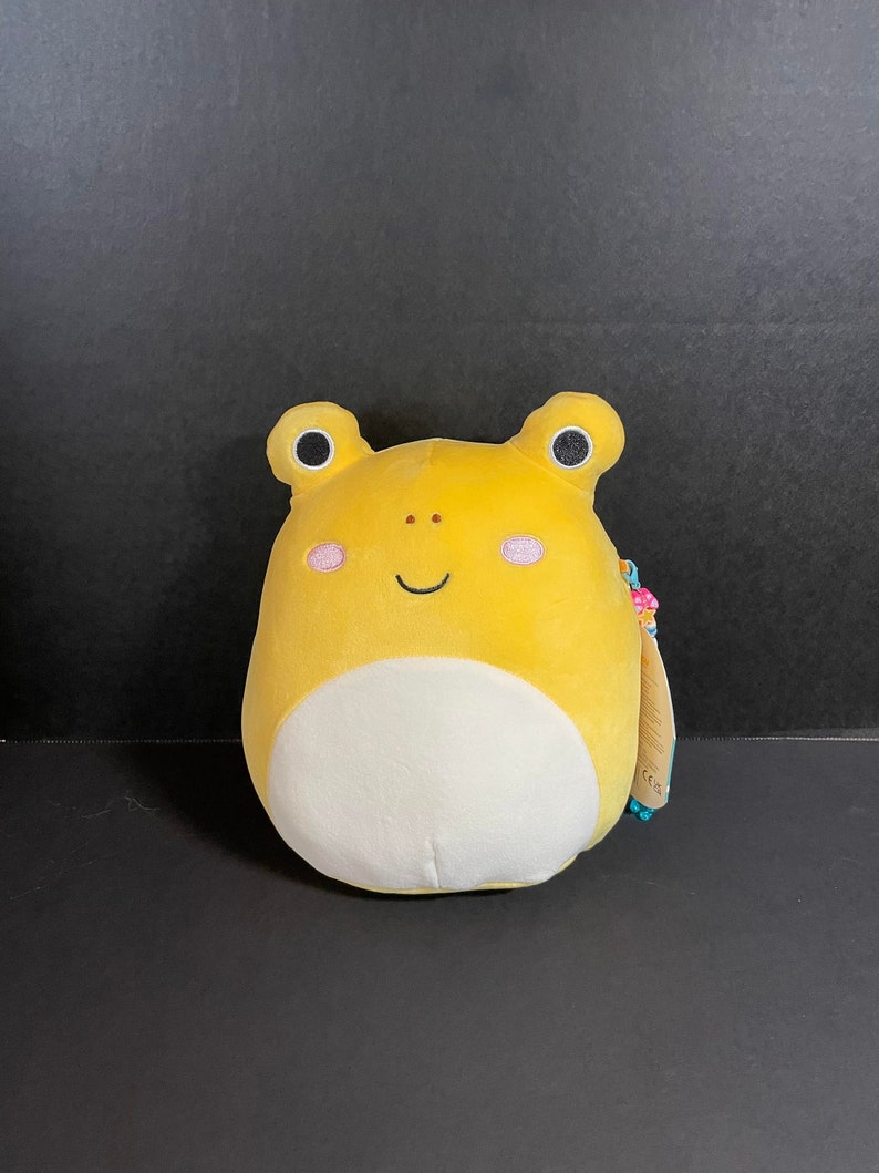 Squishmallow 8 Leigh Yellow Toad Frog W/custom Hand-made - Etsy