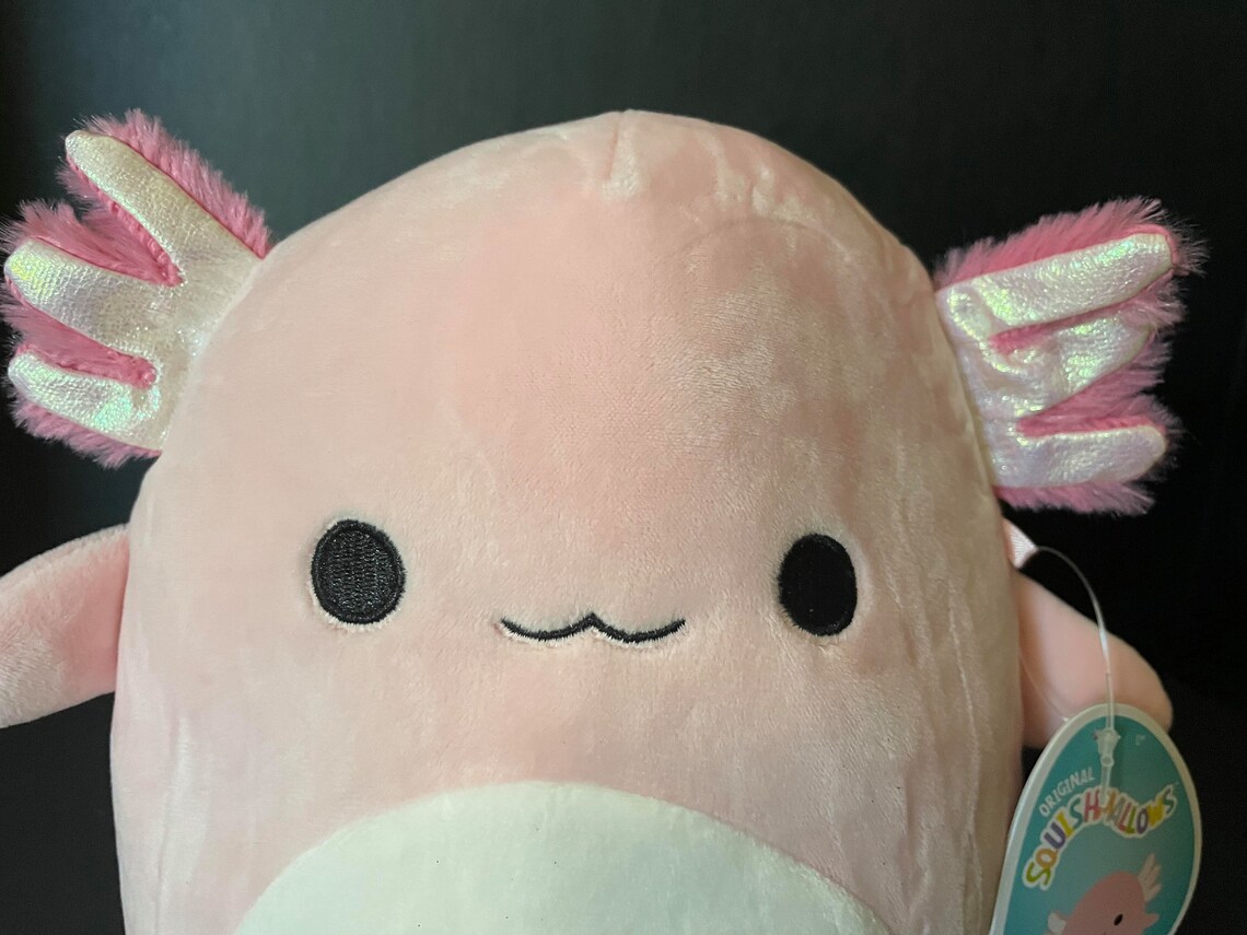 Squishmallow 8 Archie Axolotl W/custom Hand-made Beaded - Etsy