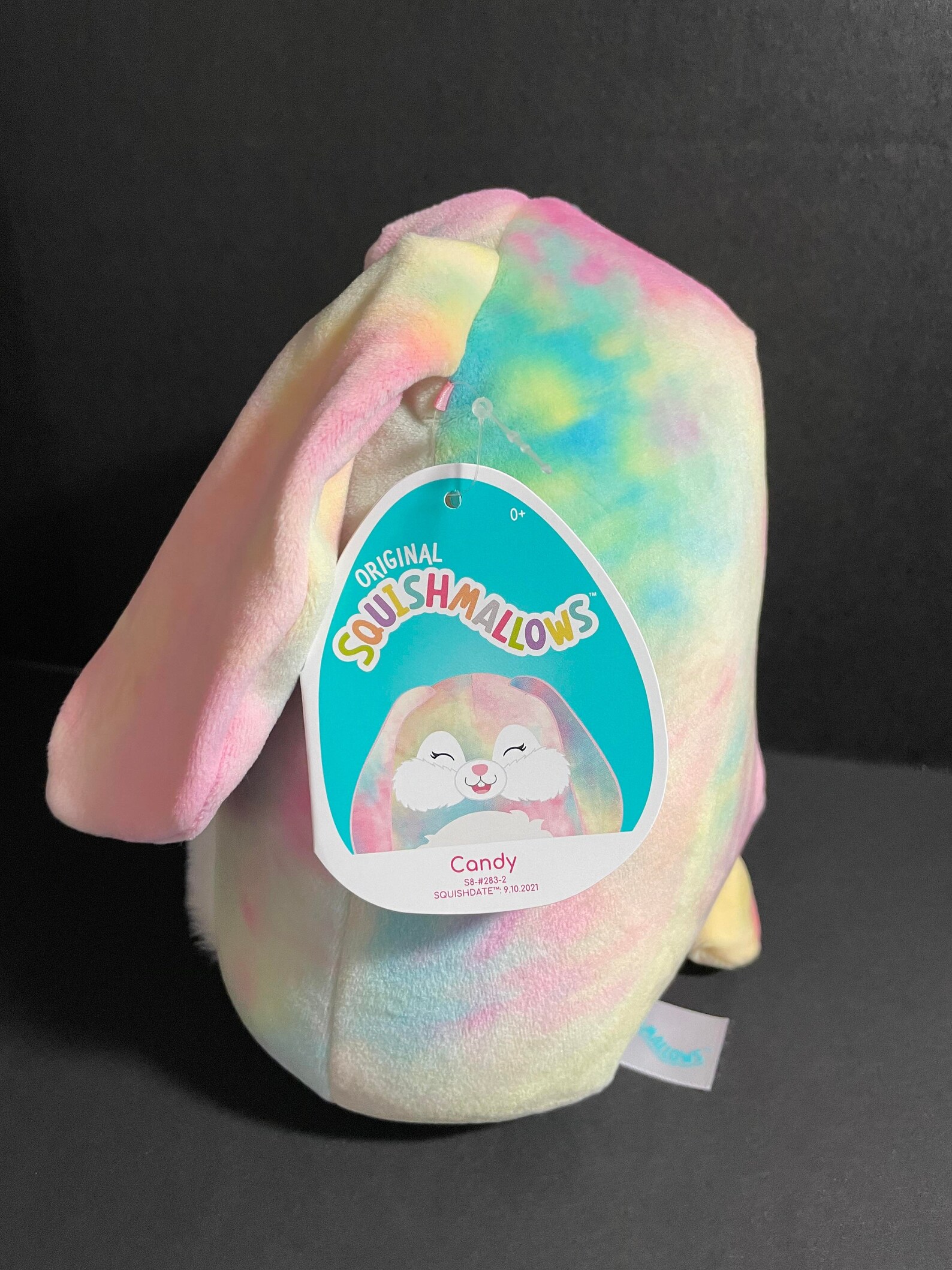 Squishmallow 8 Candy Bunny W/custom Hand-made Beaded I - Etsy