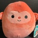 Squishmallow 8 Elton Tangerine Monkey W/custom Hand-made - Etsy