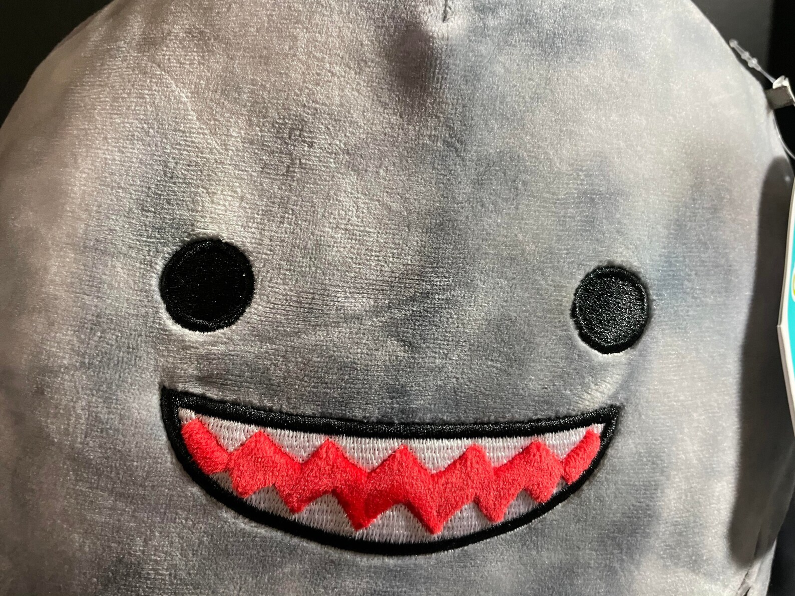 Squishmallow 12 Gordon Shark W/custom Hand-made Beaded I - Etsy