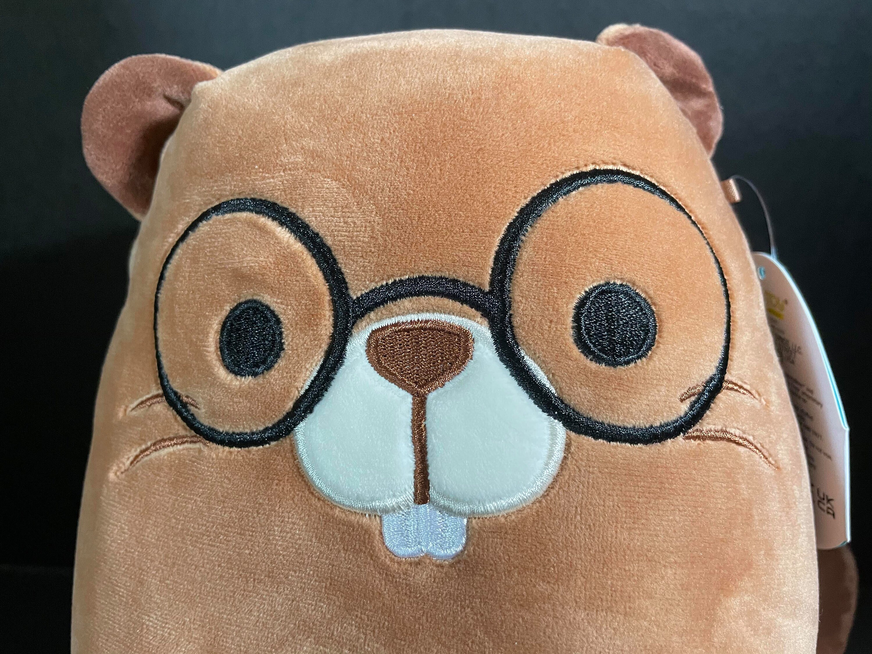 Squishmallow 8 Chip Beaver W/glasses W/custom Hand-made - Etsy
