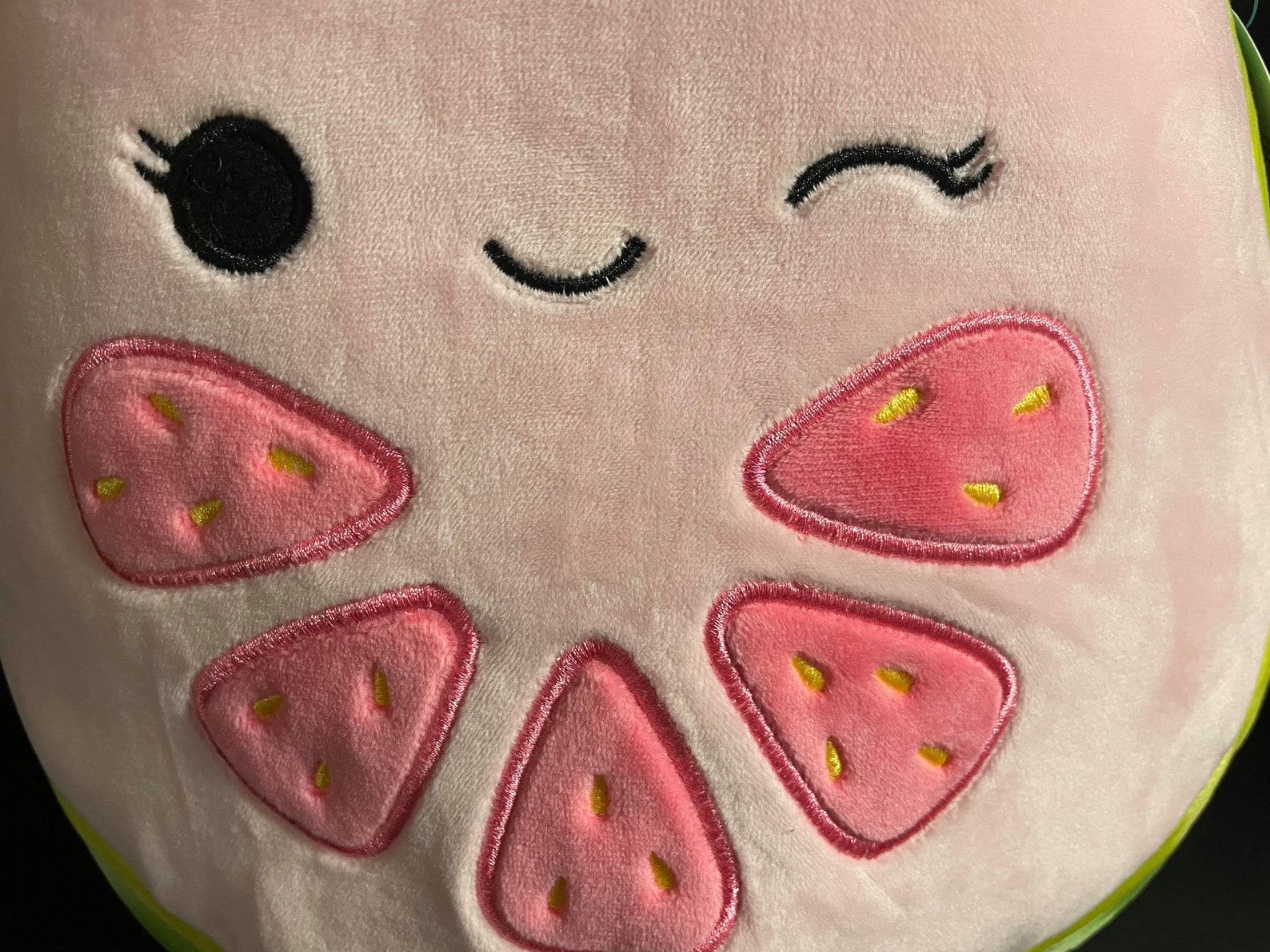 Squishmallow 8 Lena Guava Fruit W/custom Hand-made - Etsy