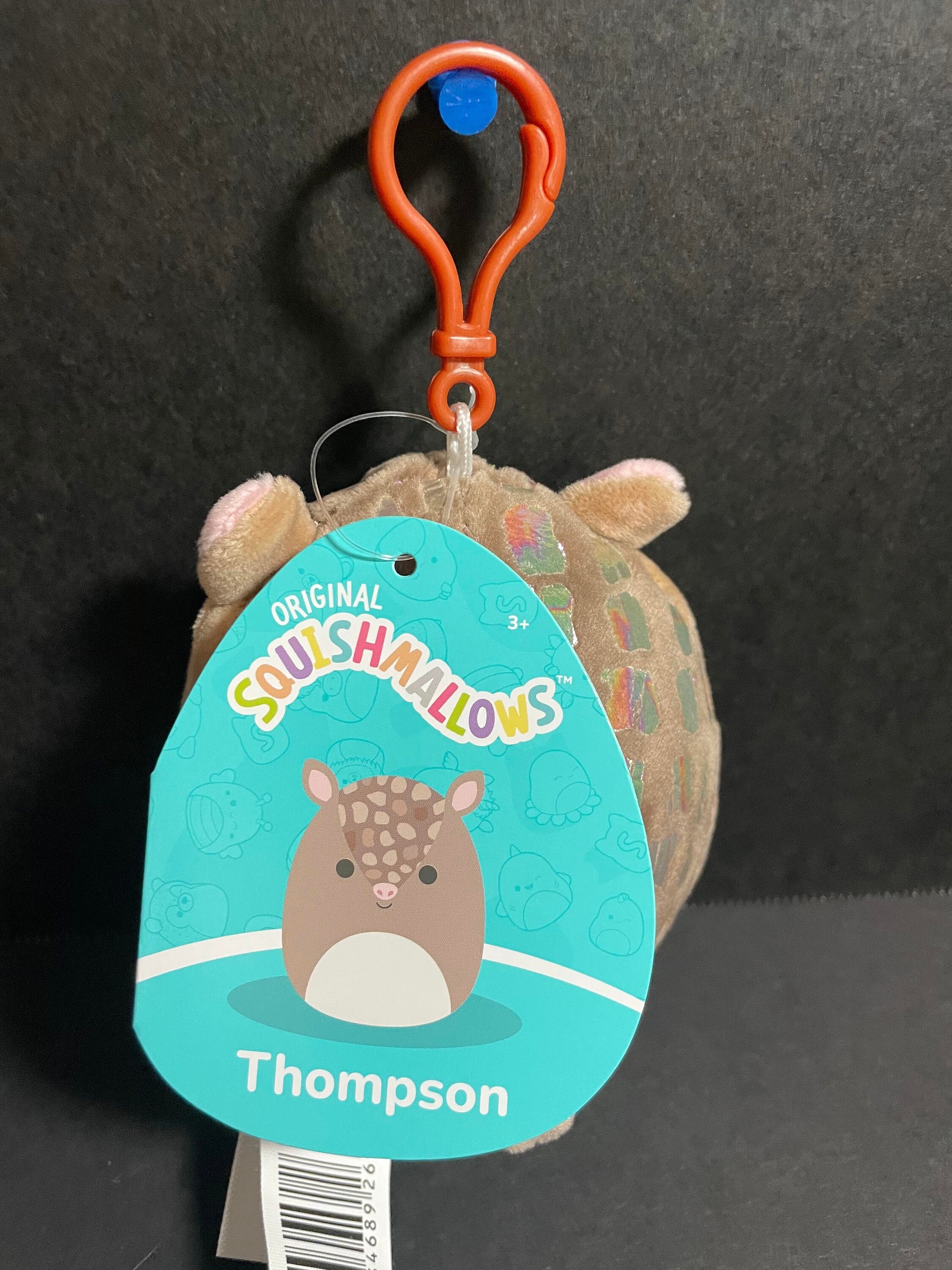Squishmallow Thompson Armadillo 3.5 Clip-on W/custom - Etsy