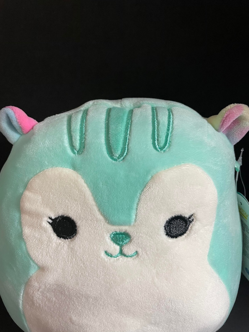 Squishmallow 8 Serene Squirrel W/custom Hand-made Beaded - Etsy