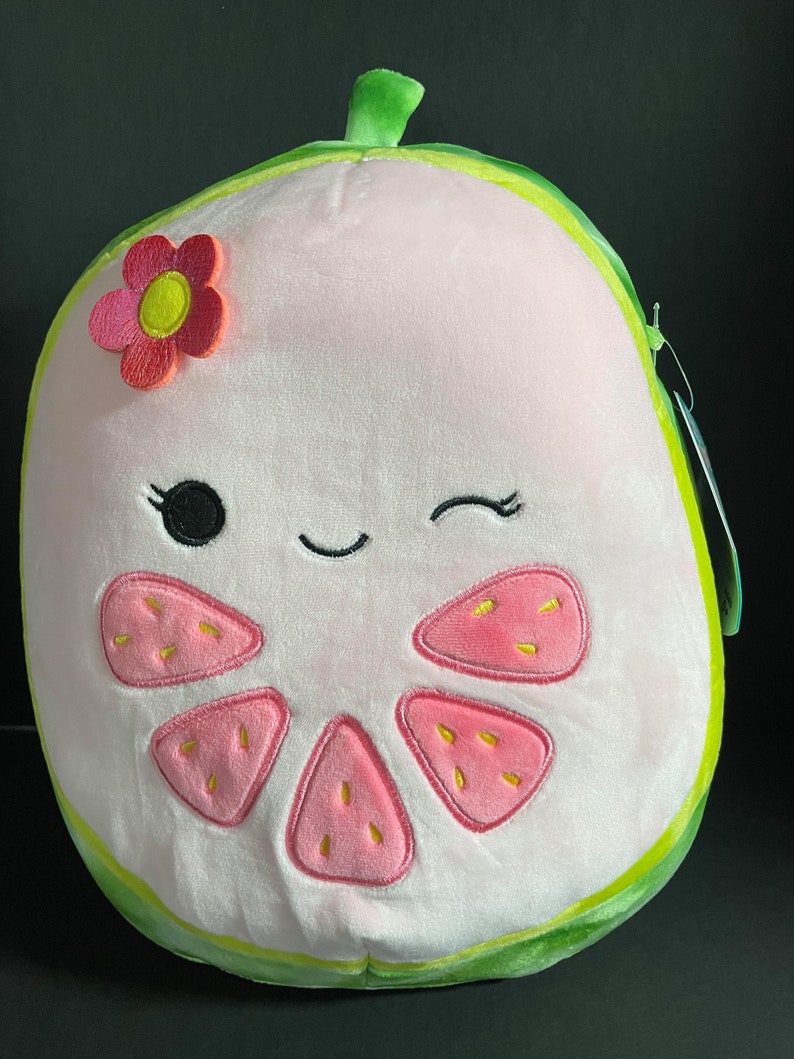 Squishmallow 8 Lena Guava Fruit W/custom Hand-made - Etsy