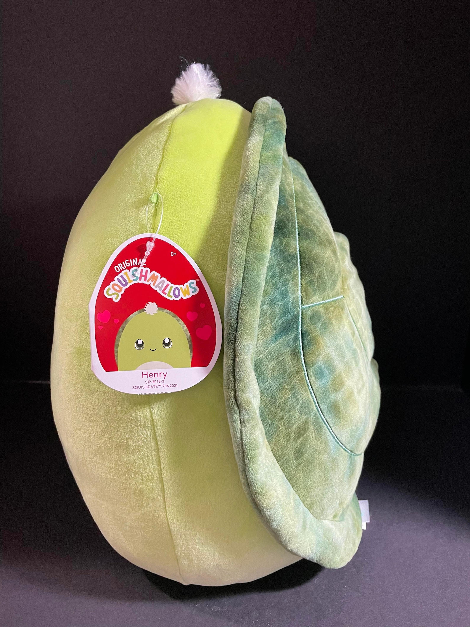 Squishmallow 12 Henry Love Turtle W/custom Hand-made - Etsy