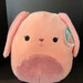 Squishmallow 16 Bop the Bunny Furry Belly W/custom - Etsy