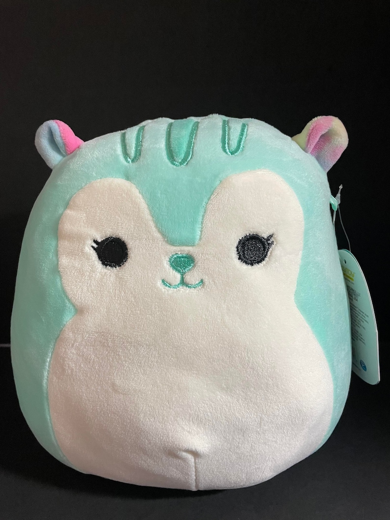 Squishmallow 8 Serene Squirrel W/custom Hand-made Beaded - Etsy