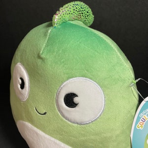 Squishmallow 8 Denton the Chameleon W/custom Hand-made Beaded I Love ...