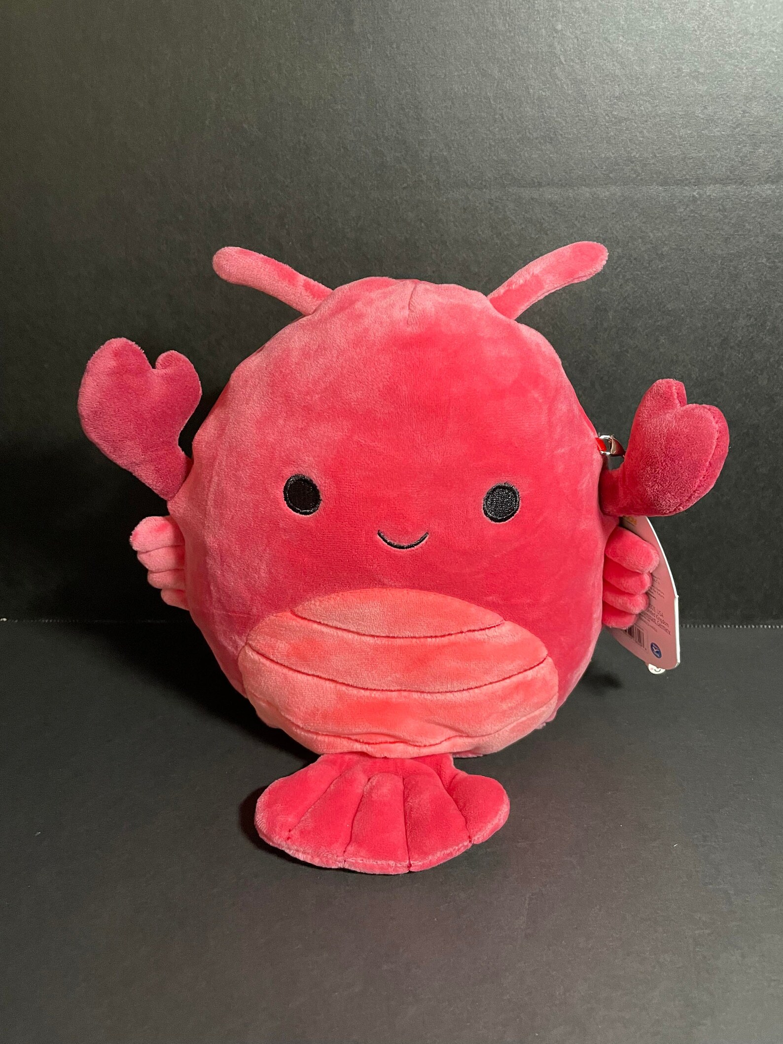 Squishmallow 8 Lorono Red Lobster W/custom Hand-made - Etsy
