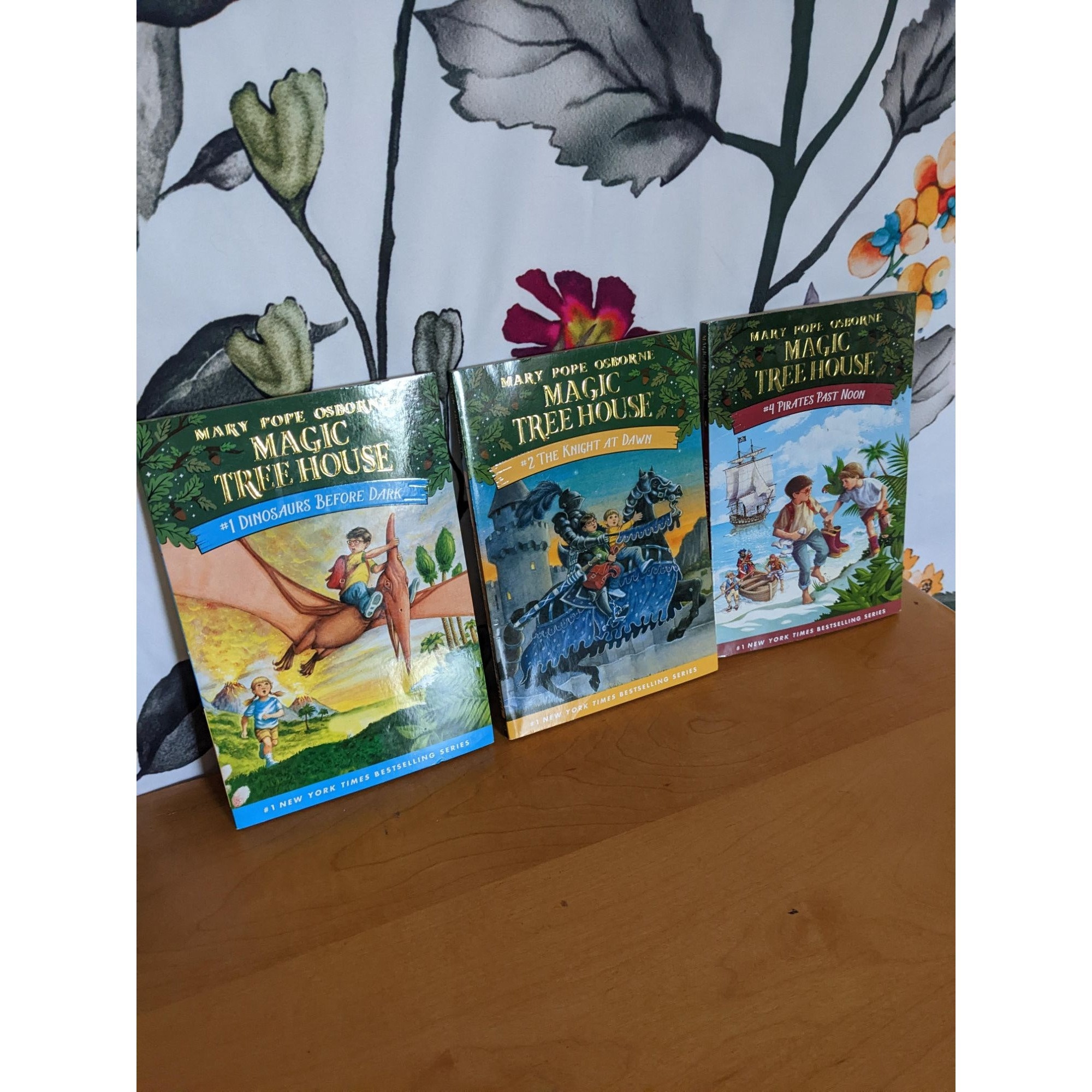 Vintage 90s Magic Tree House Book Set 3 Books 1 2 4 Dinosaurs Before ...