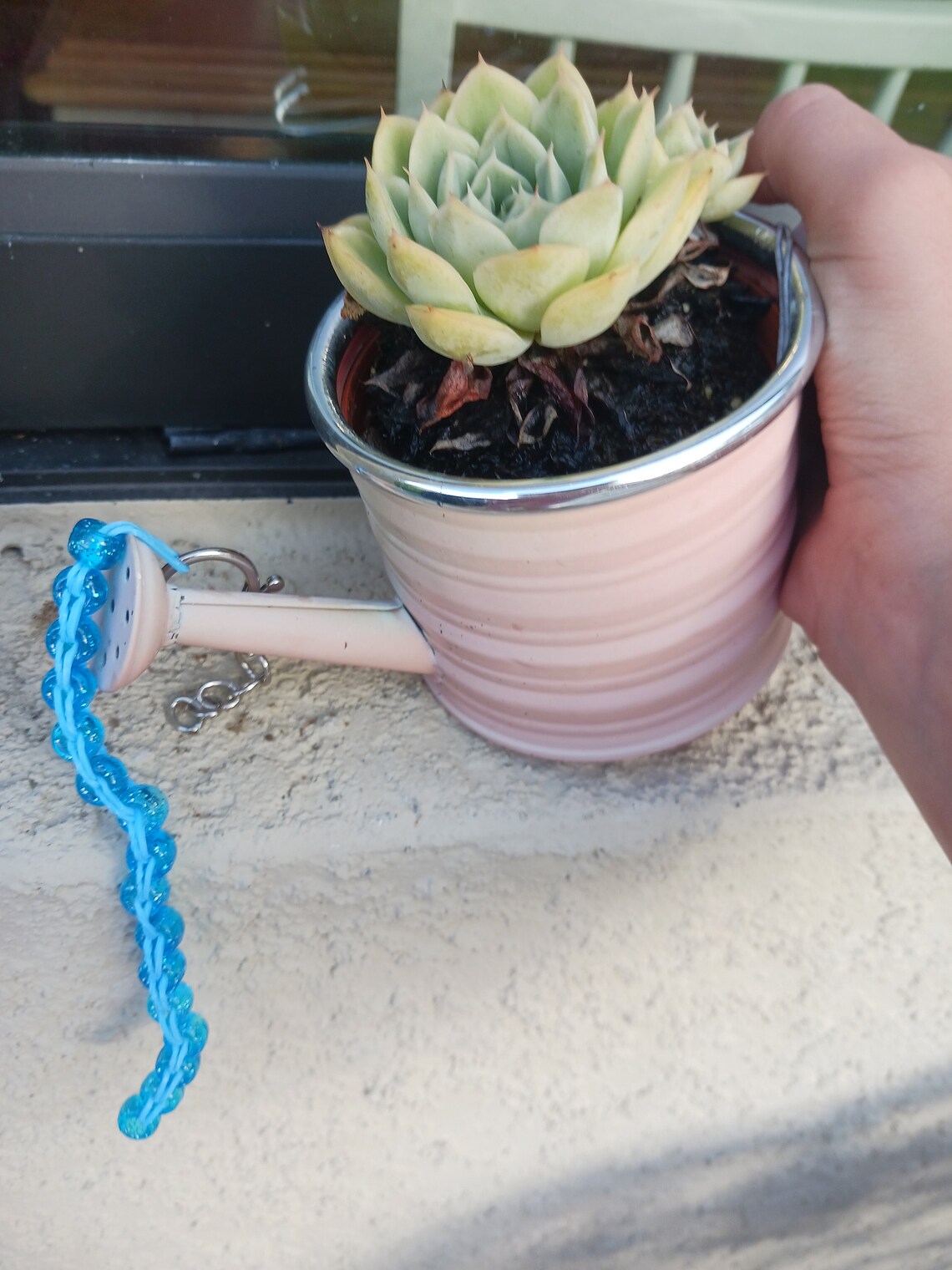 Rain Water - Etsy