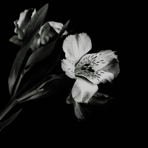 Intimate Bedroom Art - Etsy