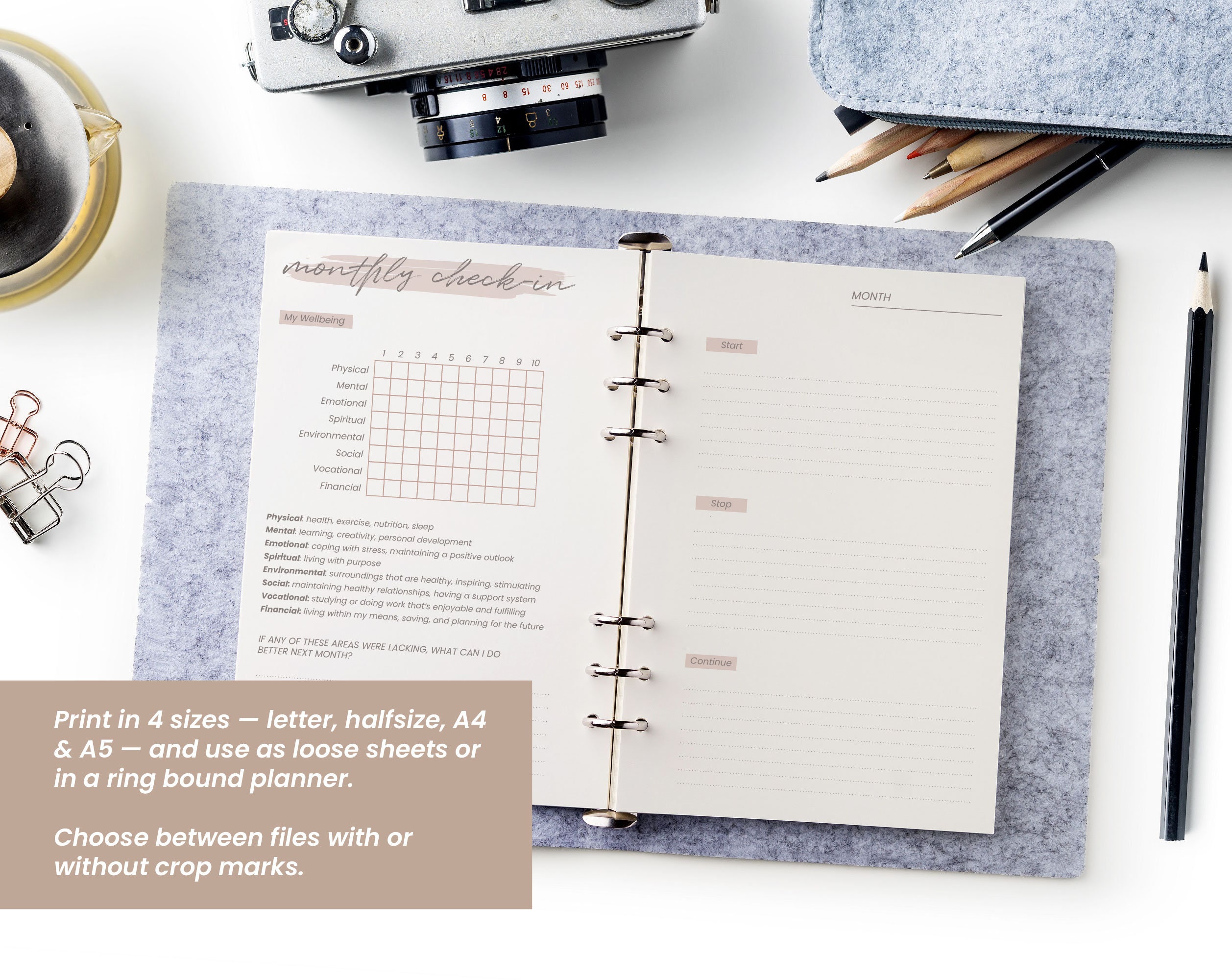 Minimalist Monthly Check-in Insert for Productivity and Wellbeing ...