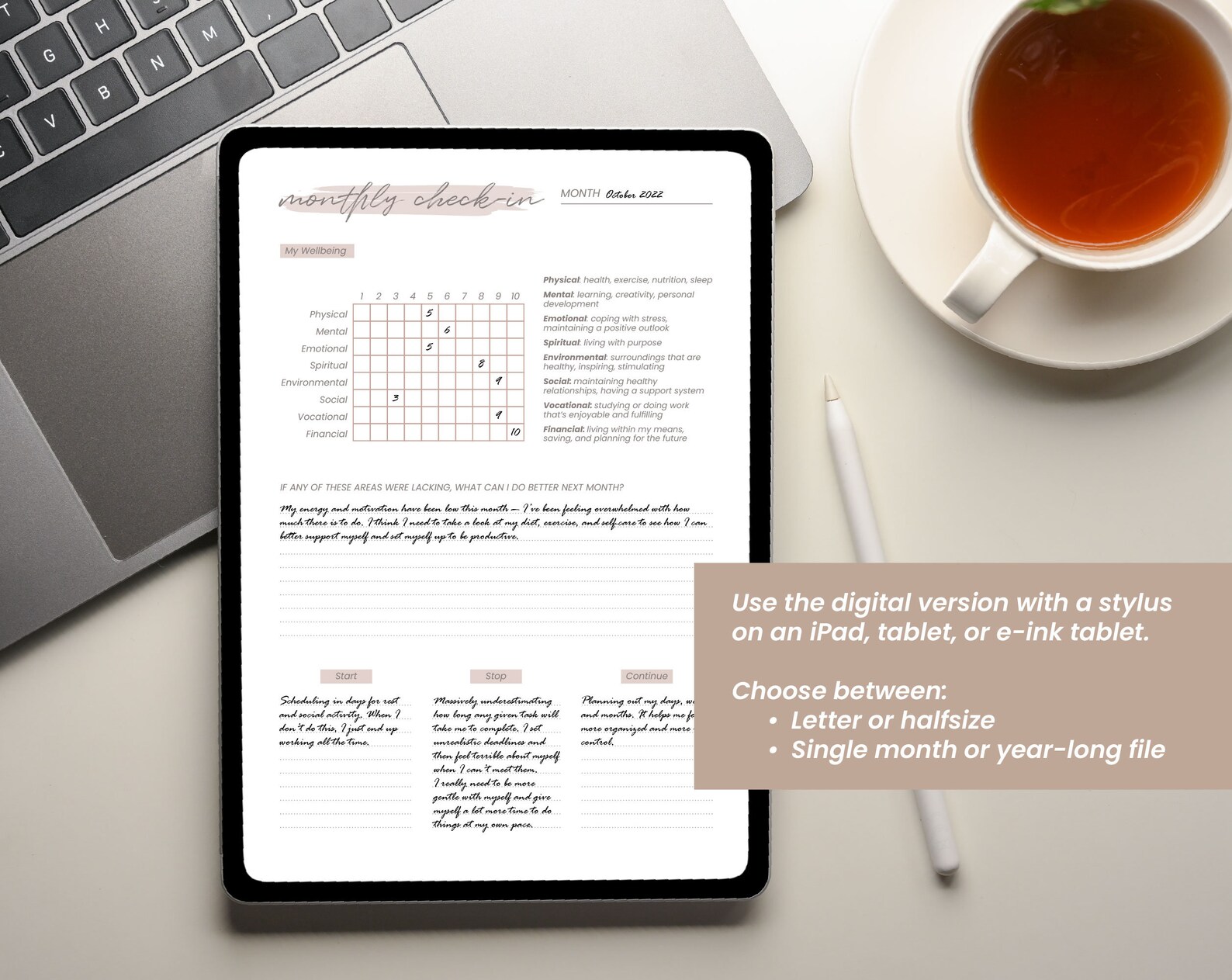 Minimalist Monthly Check-in Insert for Productivity and Wellbeing ...